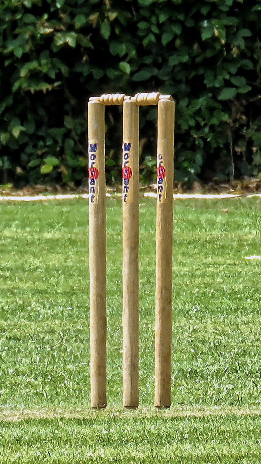 How to Read a Cricket Scorecard: Beginner Guide | CricJosh